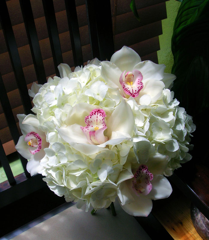 BDM 172. Bidermajer - Hortenzije i orhideje