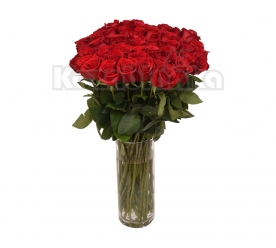 21 ekvadorska crvena ruža u staklenoj vazi