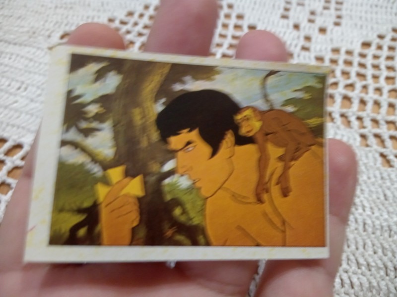 Sličica Tarzan 1982.g - Panini - Broj 101 -