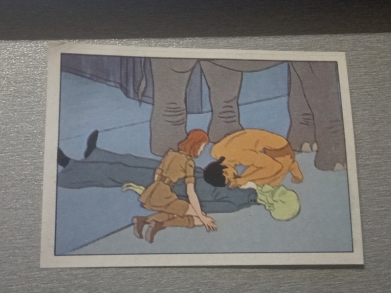 Sličica Tarzan 1982.g - Panini - Broj 305 -