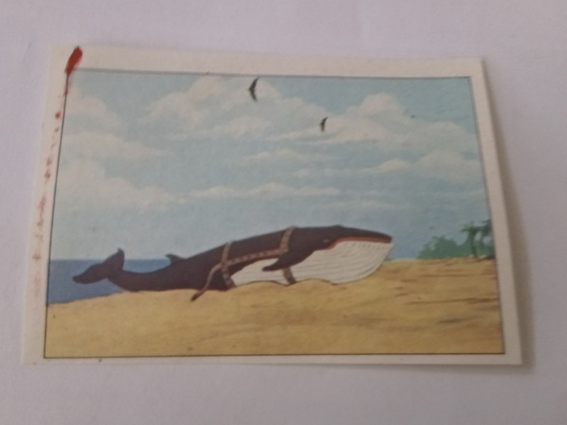 Sličica Tarzan 1982.g - Panini - Broj 312 -