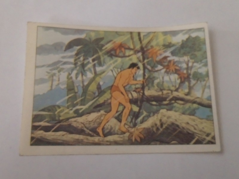 Sličica Tarzan 1982.g - Panini - Broj 352 -