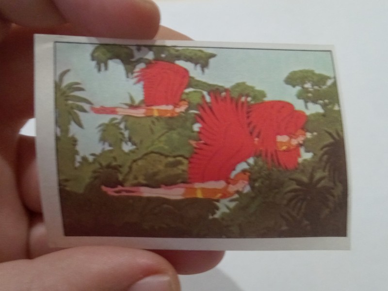 Sličica Tarzan 1982.g - Panini - Broj 381 -