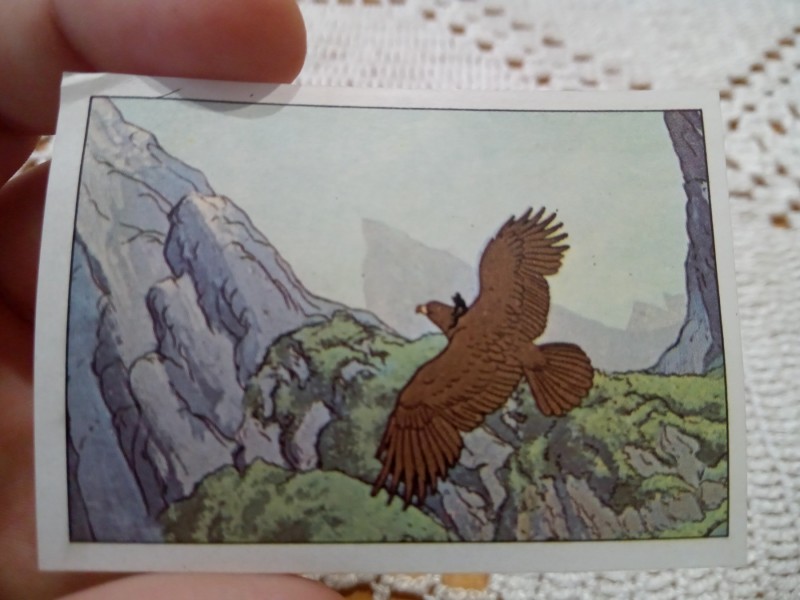 Sličica Tarzan 1982.g - Panini - Broj 65 -