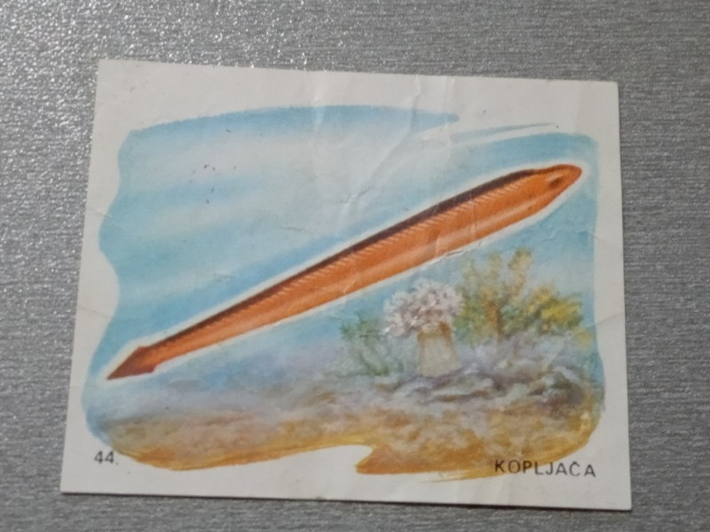 Sličica Životinjsko Carstvo - Kopljača - Broj 44 -