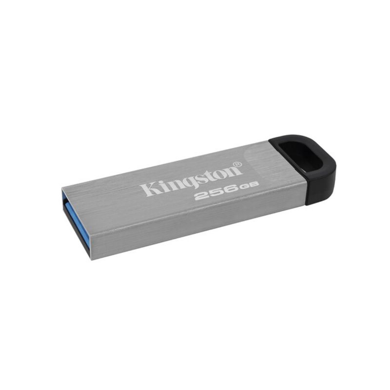 USB memorija KINGSTON DTKN/256GB/Kyson/3.2/srebrna