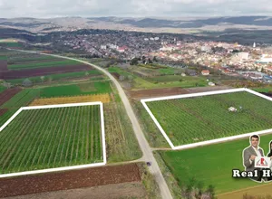 Prodaja Ostale nekretnine - Irig