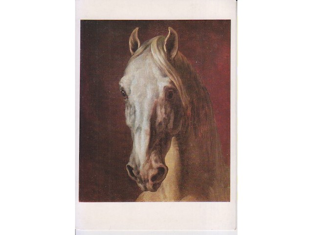 ŽERIKO / GERICAULT (1791-1824) - HEAD OF HORSE