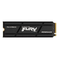 500 GB Kingston SFYRSK/500G