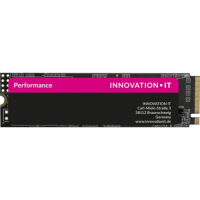 256 GB InnovationIT 00-256111