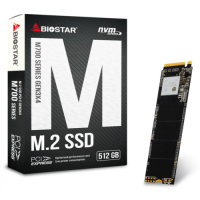 512 GB Biostar M700-512GB