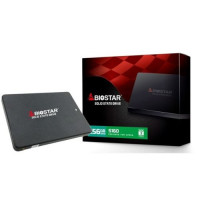 256 GB Biostar SA102S2E36