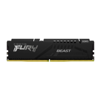 16GB DDR5 5200MHz Kingston KF552C36BBE-16