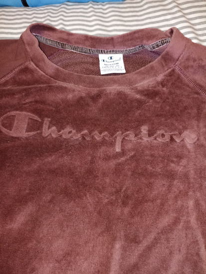 Champion duks m