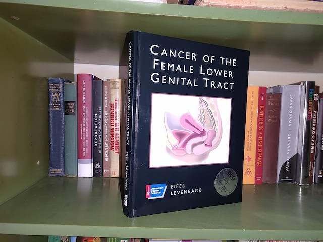 Cancer of the Female Lower Genital Tract