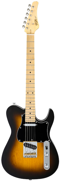 FGN Fujigen JIL2ASHM 2TS električna gitara