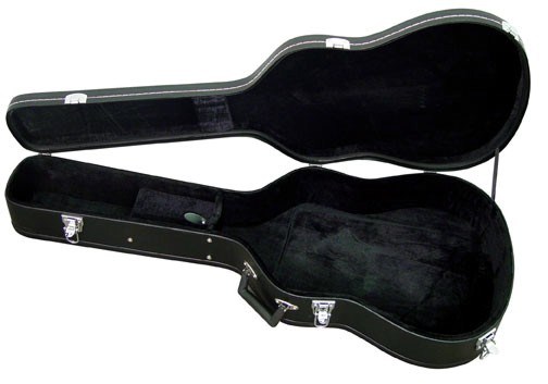 Washburn GC111