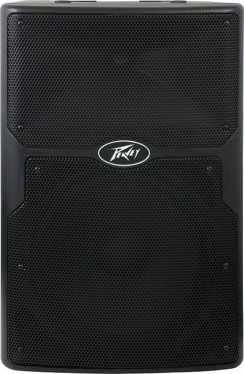 Peavey PVX™ 15