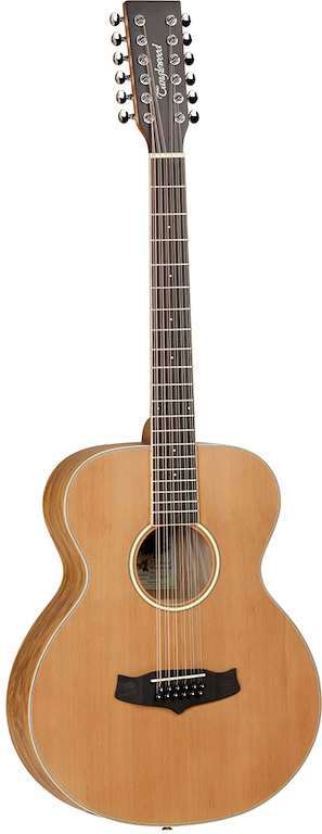 Tanglewood TW11-12 F OL Winterleaf akustična gitara