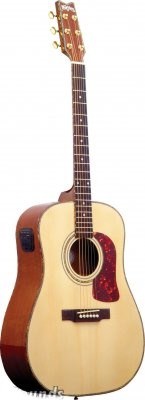 Washburn DK20T - akustična gitara
Tehnička specifikacija