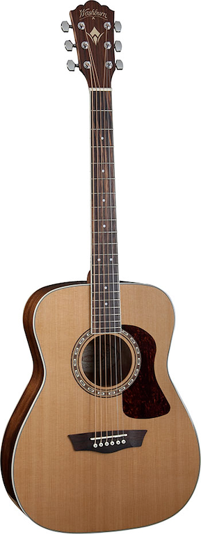 Washburn D10STS