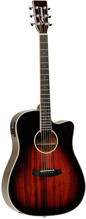 Tanglewood TW-5 E AVB Winterleaf Elektro-Akustična Gitara