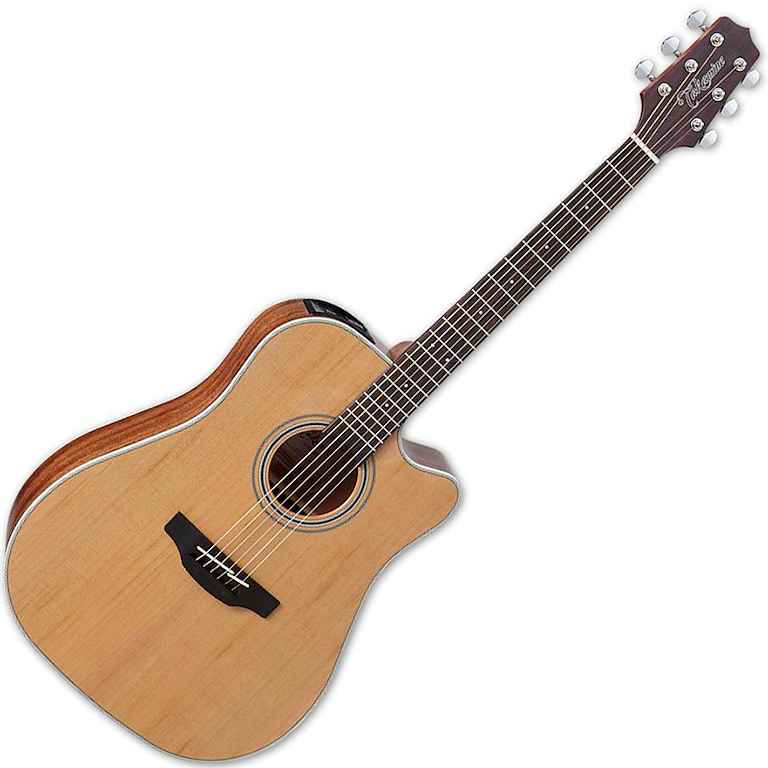 TAKAMINE GD20CE-NS