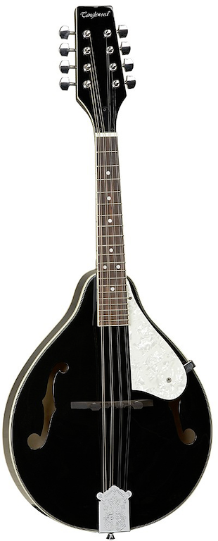 Tanglewood TWM T BKP Union Black Gloss - Mandolina