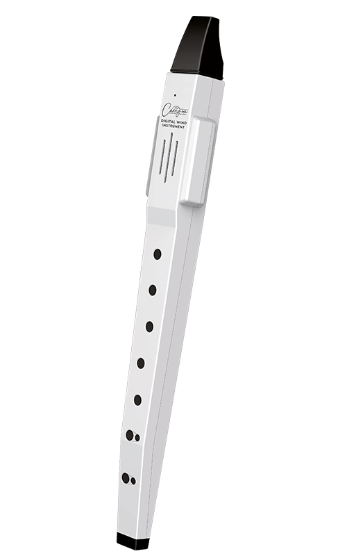 Carry-on Digital Wind WHT Instrument