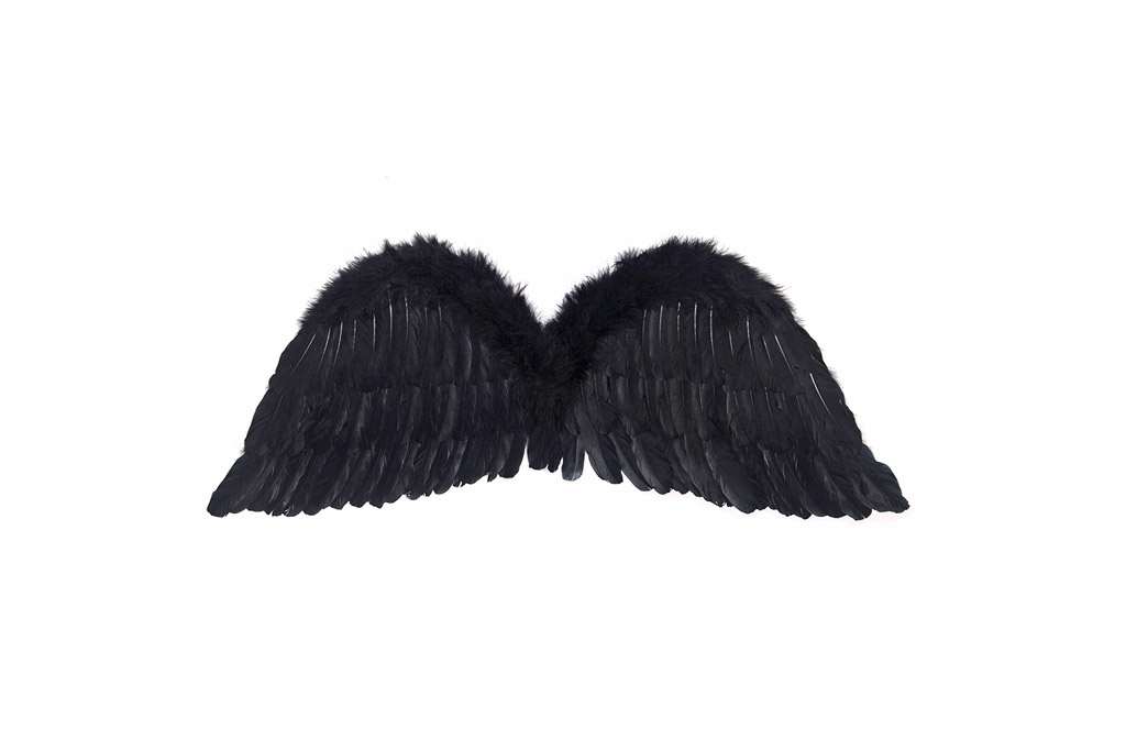 Crna krila – 75cm