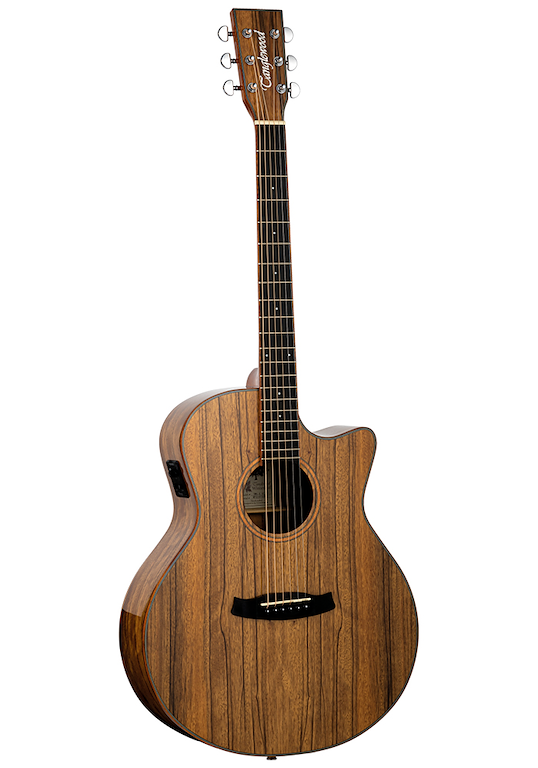 TangleWood TW4-VC-PW Acoustic Winterleaf