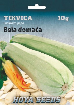 Tikvica BELA DOMAĆA