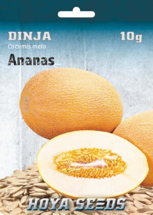 Dinja ANANAS