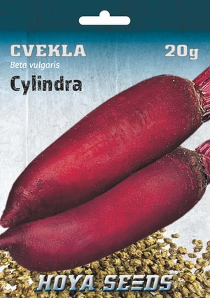 Cvekla CYLINDRA