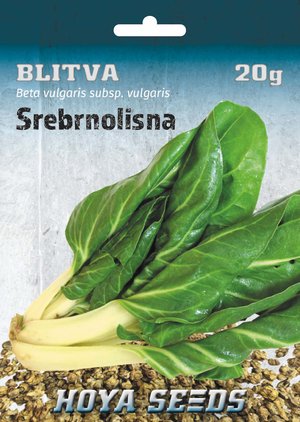 Blitva SREBRNOLISNA