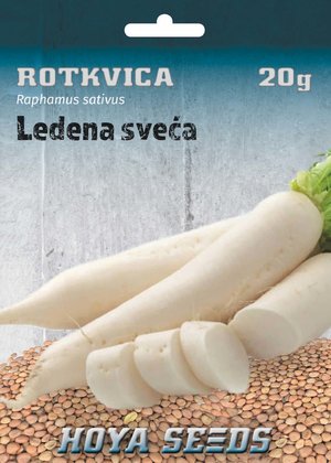 Rotkvica LEDENA SVEĆA