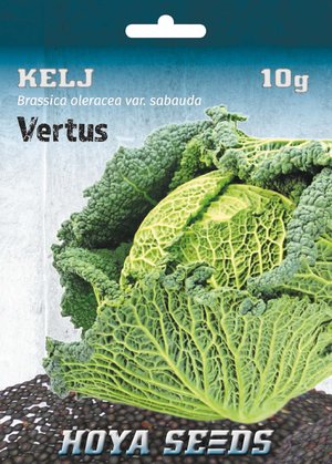 Kelj VERTUS