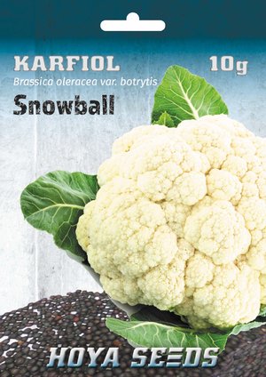 Karfiol SNOWBALL