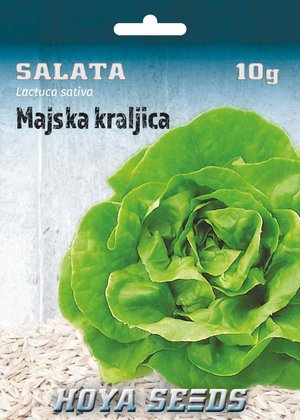 Salata MAJSKA KRALJICA