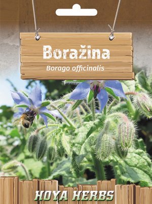 Boražina