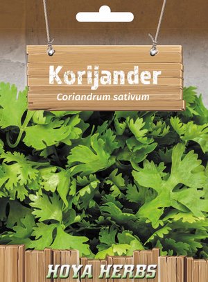 Korijander