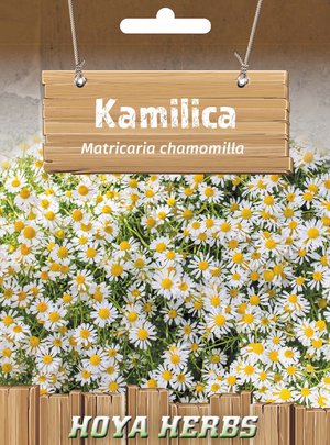 Kamilica