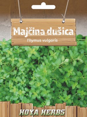 Majčina dušica