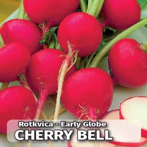 Rotkvica CHERRY BELL