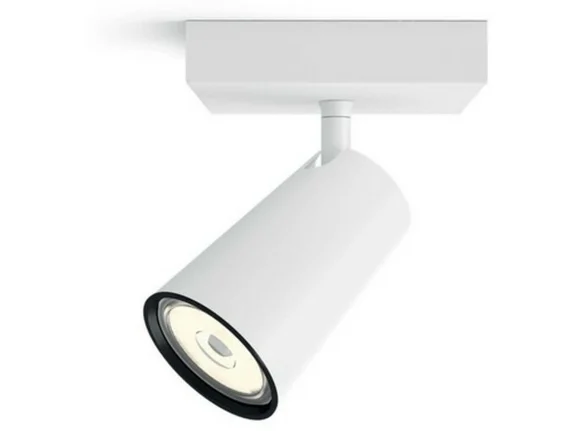 Philips Paisley Spot svetiljka max.1X10W 50571/31/Pn