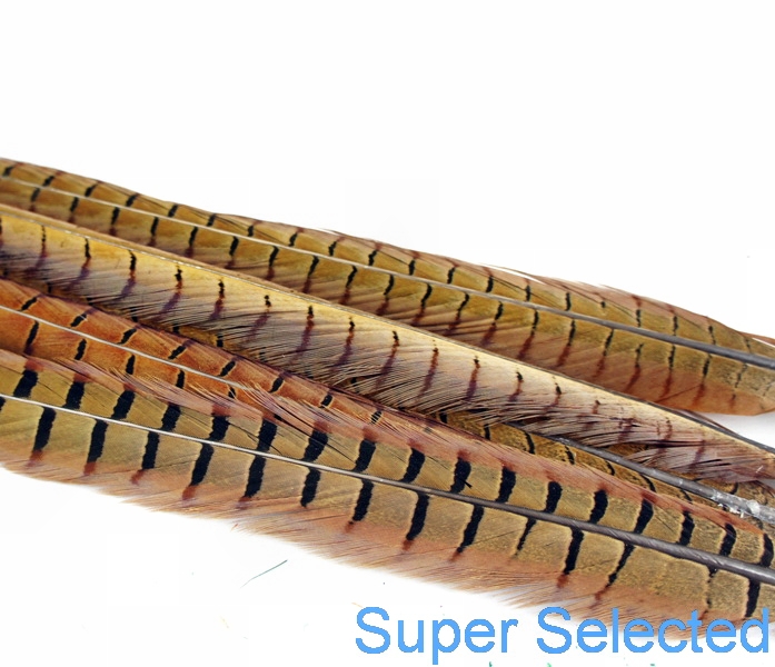 Cock Pheasant Super Selected