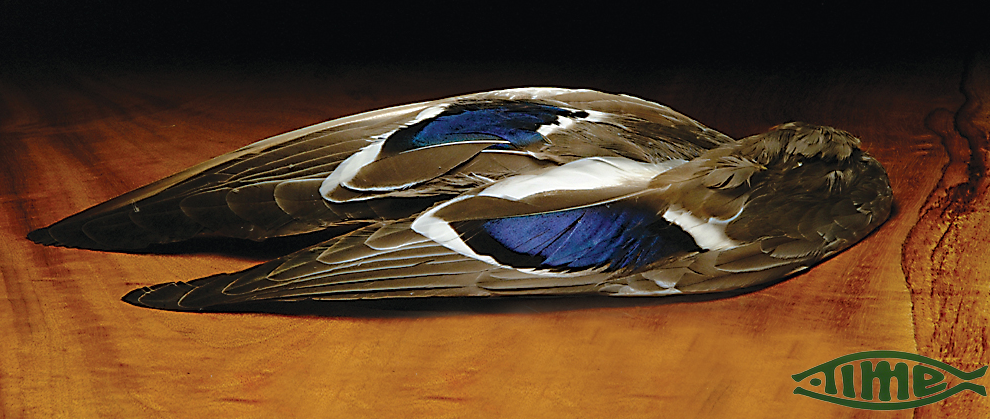 Hareline Mallard Whole Wings