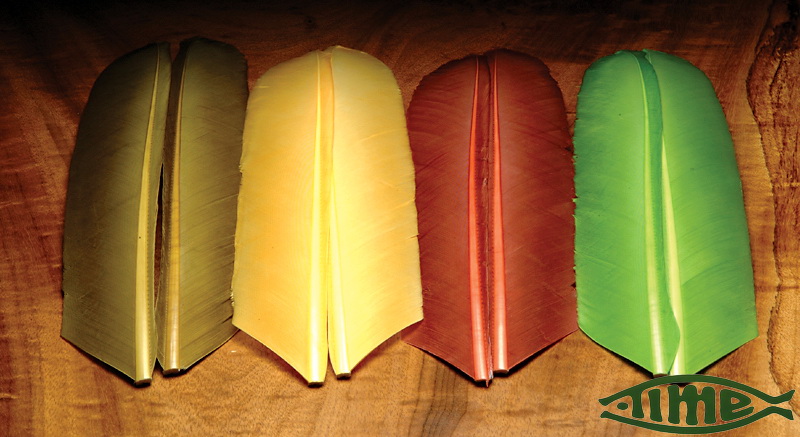HARELINE TURKEY BIOT QUILLS