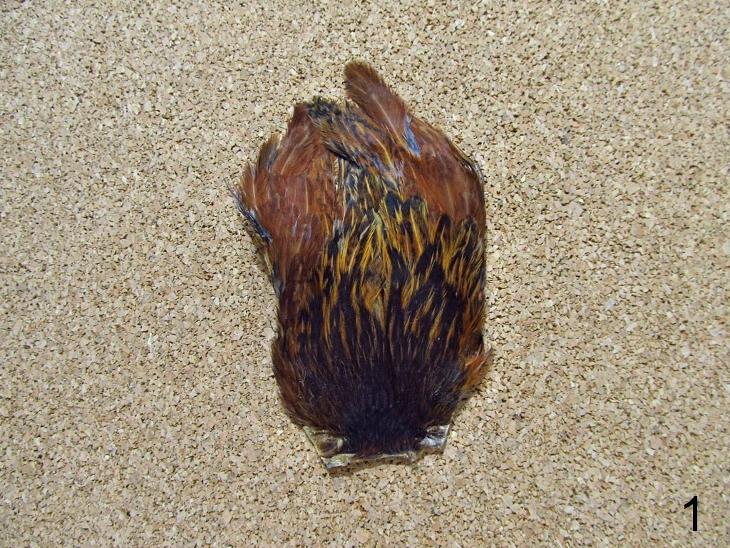 HEN SADDLE PATCHED
