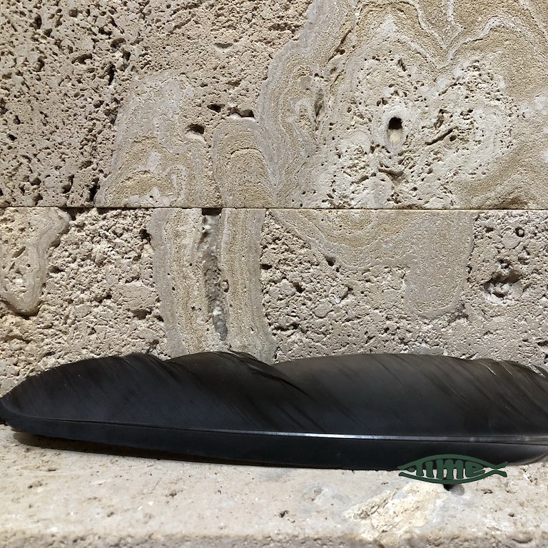 LARGE GRAY HERON FEATHERS 5